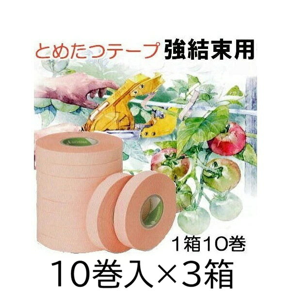 レターパックでの発送になる為、代金引き換えは出来ません。 配達日時指定は反映されません。 (お届け先により変更になる場合がございます。) 専用のとめたつテープは針がいらない。1巻30Mで約300回の連続作業が可能です。 とめたつテープシリー...