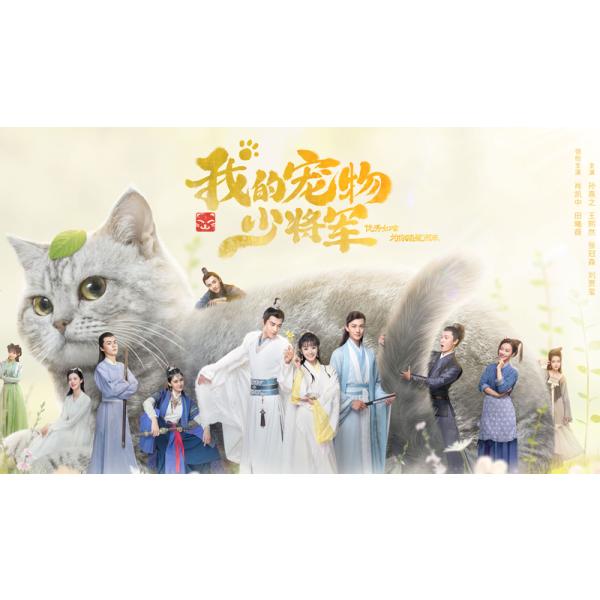 原題：我的物少将収録話数：全16話音声:中国語字幕:日本語TYPE B : Blu-rayディスク1枚キャスト：「シアオ・カイジョン」「ティエン・シーウェイ」「スン・シージー」「ワン・シーラン」あらすじ：都の玉石院にいた兄が行方不明になった...