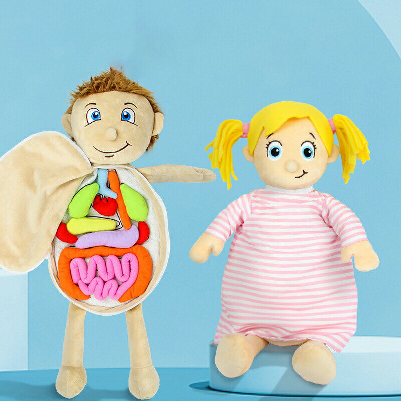 3D臓器 ぬいぐるみ 内臓人体模型 内臓図教育 人体内臓 知育おもちゃ 子供用 おもちゃ 内臓 人体解剖学モデル知育玩具ソフトドール教育 キッズ遊びながら学ぶ"商品仕様：サイズ：49*33*6cm重量：156g充填物：ポリエステル...