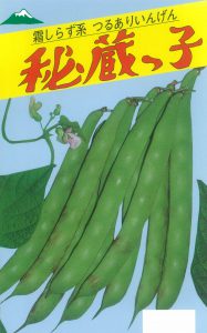霜しらず系のつるありいんげんで、草勢が強く分枝が多い。 莢は鮮緑色の厚肉平莢種で、わずかに鮮紅色の縞もようが入りますが、ゆであがりは美しい緑色になります。 筋が少なくやわらかいので、実が少し入ってからでも食べられ、もちもち感が有ります。 子...