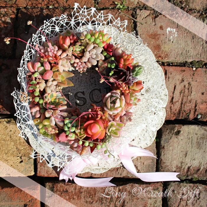 【　商品詳細　】 ■多肉植物リース リースの雰囲気をお選びいただけます　・・・おまかせ・彩・レインボー・パステル できる限り色味にこだわりますが、季節により発色の悪い時期もございます。ご了承くださいませ。 特別な日に大好きな多肉植物を 【　...