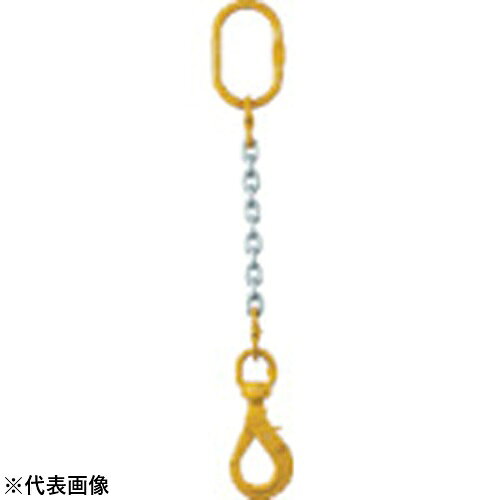 【特長】●ロッキングフック(ボールベアリング入)付です。●「プラスV級」ロードチェーンの採用でより安全になりました。(安全率5倍以上)●過酷な使用条件にも強い特殊表面処理チェーンの採用で長寿命化を実現しました。【用途】●荷役、運搬吊り作業。...