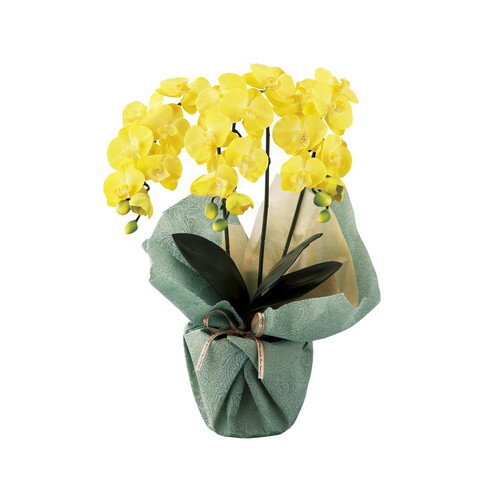 ●紙袋のご用意はできません。●ギフト商品のため納品書は同梱されません。●メーカー都合により、デザイン・内容等が変更になる場合がございます。●ご注文者様宛以外へ発送の場合、お届け先様の転居・住所不明・長期不在などが発生した際は商品をご依頼主様...