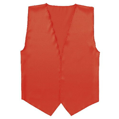 大人気の衣装ベースシリーズのベストにVネックタイプが登場しました。縫製済みなので、簡単に衣装がつくれます。演技やダンスなどの衣装に！サテン生地で、肌触りが良く、光沢のある素材です。■700×570mm