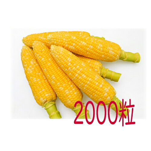 ※時期によっては出荷までにお時間を頂く場合がございます。又、季節もの、流動的な商品の為品切れの場合もございますので申し訳ございませんがその場合キャンセルさせていただきます。 ※場合によってはメーカー直送になることもございますので予めご了承く...