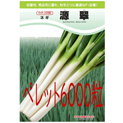 ※時期によっては出荷までにお時間を頂く場合がございます。又、季節もの、流動的な商品の為品切れの場合もございますので申し訳ございませんがその場合キャンセルさせていただきます。 ※場合によってはメーカー直送になることもございますので予めご了承く...