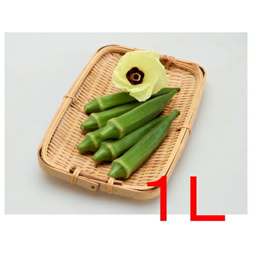 ※時期によっては出荷までにお時間を頂く場合がございます。又、季節もの、流動的な商品の為品切れの場合もございますので申し訳ございませんがその場合キャンセルさせていただきます。 ※場合によってはメーカー直送になることもございますので予めご了承く...