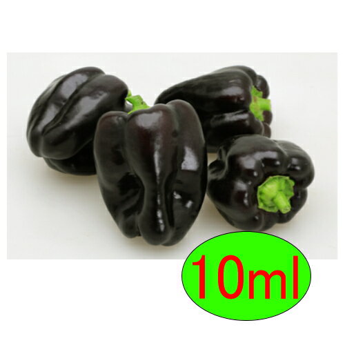 ※時期によっては出荷までにお時間を頂く場合がございます。又、季節もの、流動的な商品の為品切れの場合もございますので申し訳ございませんがその場合キャンセルさせていただきます。 ※場合によってはメーカー直送になることもございますので予めご了承く...