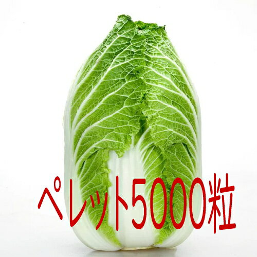 ※時期によっては出荷までにお時間を頂く場合がございます。又、季節もの、流動的な商品の為品切れの場合もございますので申し訳ございませんがその場合キャンセルさせていただきます。 ※場合によってはメーカー直送になることもございますので予めご了承く...