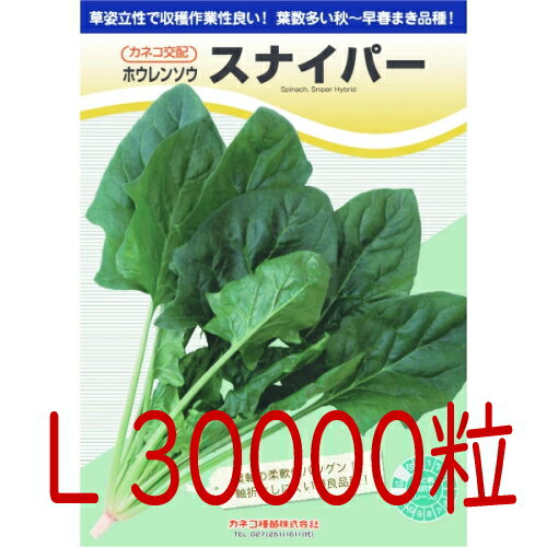 ※時期によっては出荷までにお時間を頂く場合がございます。又、季節もの、流動的な商品の為品切れの場合もございますので申し訳ございませんがその場合キャンセルさせていただきます。 ※場合によってはメーカー直送になることもございますので予めご了承く...