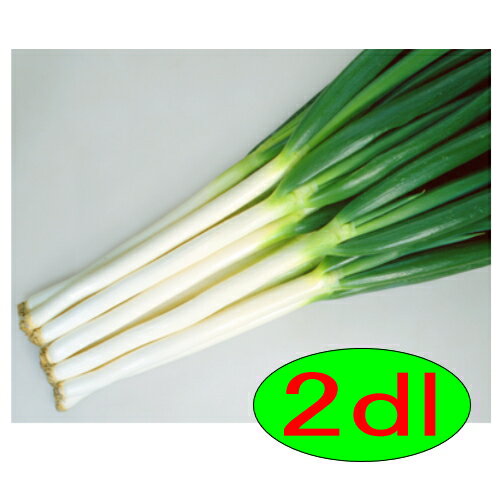 ※時期によっては出荷までにお時間を頂く場合がございます。又、季節もの、流動的な商品の為品切れの場合もございますので申し訳ございませんがその場合キャンセルさせていただきます。 ※場合によってはメーカー直送になることもございますので予めご了承く...