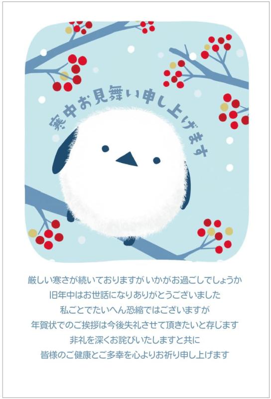 アルファプリントサービス 年賀状じまい 寒中見舞い 01年賀状じまいハガキ（寒中見舞い）／1セット10枚入り年明けに寒中見舞いとして年賀状じまいしたい方の挨拶状。年賀状が届いた相手に漏れなく送ることが可能で、寒中見舞いですので喪中の方へ送る...