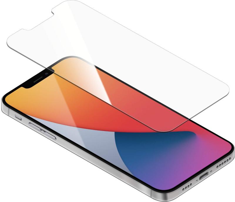 Torrii BODYGLASS (Anti-bacterial Coating) for iPhone (2020) 6.7inch