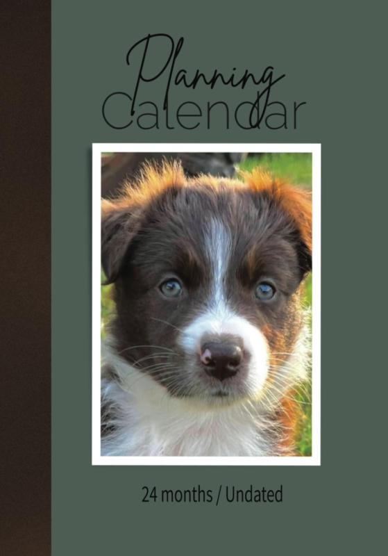 Planning Calendar: Australian Shepherd | 24 months Undated