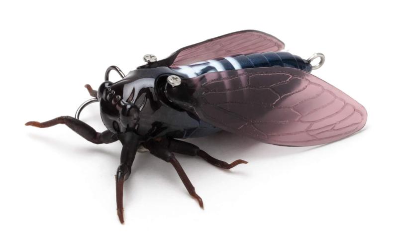 Jackson(ジャクソン) ワーム Qu-on 生蝉(ナマゼミ) 42mm 4.5g ルアーSize：42mmWeight：4.5gリアクションよりも「圧倒的な食性」を重視した虫系プラグです。超ロングポーズなど、魚にルアーを「見せる」こと...