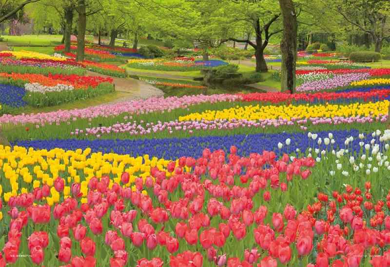 やのまん(Yanoman) 【日本製】108ピース ジグソーパズル ラージピース 日本風景 花咲く昭和記念公園 東京(26x38cm) 01-2090 ピース請求ハガキ のり付き へら付き サービスカード付 ジグソーパズル日本風景108ラー...