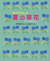 やさしい科学　9 さ・え・ら書房 植物 47P　23cm ノヤマ　デ　タノシム　ナツ　ノ　クサバナ　ナツ　ノ　クサバナ　ハハ　ト　コ　ノ　シヨクブツ　ガイド　ヤサシイ　カガク　9 コウノ，タマキ　オオムロ，キミコ