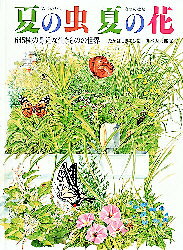 福音館のかがくのほん 福音館書店 生物地理 37P　31cm ナツ　ノ　ムシ　ナツ　ノ　ハナ　ロツピヤクヨンジユウゴシユ　ノ　ミジカ　ナ　イキモノ　ノ　セカイ　フクインカン　ノ　カガク　ノ　ホン タカハシ，キヨシ　オクモト，ダイサブロウ