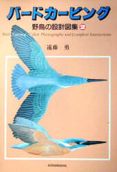 木魂社 木彫　鳥類 1冊　30cm バ−ド　カ−ビング　2　ヤチヨウ　ノ　セツケイズシユウ エンドウ，イサム