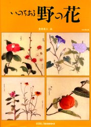 青菁社 123，123P　30cm イノチ　アル　ノ　ノ　ハナ　イノチ　アル　ノ　ノ　ハナ トヨオカ，トウコウ　トミザワ，シンサク
