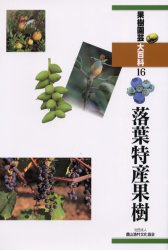 果樹園芸大百科　　16 農山漁村文化協会 果樹／栽培 379P　図版16P　27cm カジユ　エンゲイ　ダイヒヤツカ　16　ラクヨウ　トクサン　カジユ ノウサン／ギヨソン／ブンカ／キヨウカイ