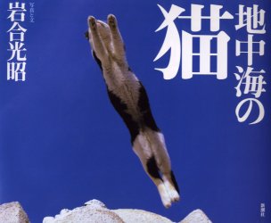 新潮社 ねこ（猫）／写真集 1冊　21×26cm チチユウカイ　ノ　ネコ イワゴウ，ミツアキ