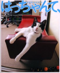 青心社 ねこ（猫）／写真集 77P　18cm ハツチヤン　テ ハニ，ハジメ