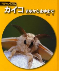 科学のアルバム　虫12 あかね書房 蚕 52P　23cm カイコ　マユ　カラ　マユ　マデ　カガク　ノ　アルバム　ムシ−12 キシダ，イサオ