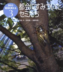 虫から環境を考える　　　3 偕成社 昆虫　自然保護　セミ 39P　25cm ムシ　カラ　カンキヨウ　オ　カンガエル　3　トカイ　ニ　スミツイタ　セミタチ タケダ，シンイチ　ウンノ，カズオ