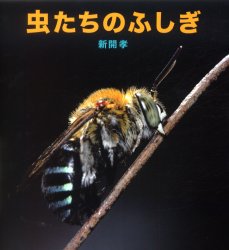 福音館書店 昆虫 71P　26cm ムシタチ　ノ　フシギ シンカイ，タカシ