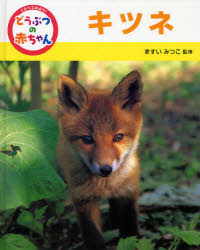 くらべてみよう！どうぶつの赤ちゃん　5 ポプラ社 動物　きつね（狐） 30P　27cm クラベテ　ミヨウ　ドウブツ　ノ　アカチヤン　5　キツネ マスイ，ミツコ