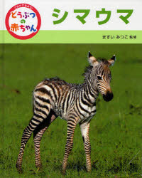 くらべてみよう！どうぶつの赤ちゃん　2 ポプラ社 動物　しまうま 32P　27cm クラベテ　ミヨウ　ドウブツ　ノ　アカチヤン　2　シマウマ マスイ，ミツコ