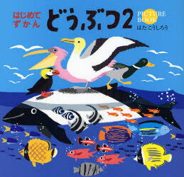 はじめてずかん コクヨS＆T 動物 1冊（ページ付なし）　19×19cm ドウブツ　2　ピクチヤ−　ブツク　PICTURE　BOOK　ハジメテ　ズカン ハタ，コウシロウ