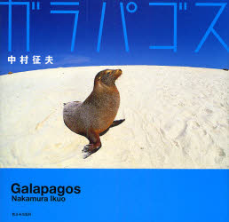 新日本出版社 動物／エクアドル／写真集　ガラパゴス群島／写真集 123P　19×20cm ガラパゴス ナカムラ，イクオ