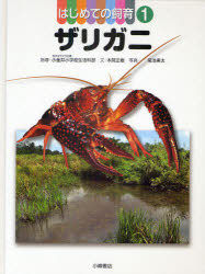 はじめての飼育　　　1 小峰書店 動物／飼育　ザリガニ／飼育 35P　29cm ハジメテ　ノ　シイク　1　ザリガニ トウキヨウ／ガクゲイ／ダイガク／フゾク／コガネイ／シヨウガツコウ　ホンマ，マサキ　キクチ，トウタ
