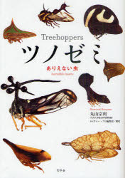 幻冬舎 昆虫　半翅目 79P　21cm ツノゼミ　アリエナイ　ムシ マルヤマ，ムネトシ　ネイチヤ−／プロ／ヘンシユウシツ