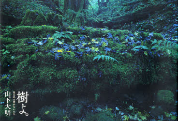 野草社 樹木／写真集 111P　21×31cm キ　ヨ　ヤクシマ　ノ　ユタカ　ナ　イノチ ヤマシタ，ヒロアキ
