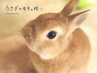 パイインターナショナル 兎／写真集 1冊（ページ付なし）　15×20cm ウサギ　ノ　モキユサマ イマイ，トモコ