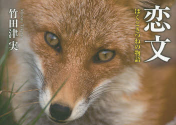 アリス館 キツネ／写真集 243P　16×22cm コイブミ　ボク　ト　キツネ　ノ　モノガタリ タケタズ，ミノル