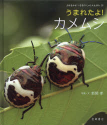 よみきかせいきものしゃしんえほん　28 岩崎書店 カメムシ科 1冊　29cm ウマレタヨ　カメムシ　ヨミキカセ　イキモノ　シヤシン　エホン　28 シンカイ，タカシ