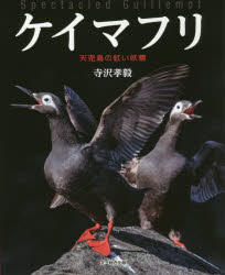 文一総合出版 鳥／北海道／写真集 79P　26cm ケイマフリ　テウリトウ　ノ　アカイ　ヨウセイ テラサワ，タカキ