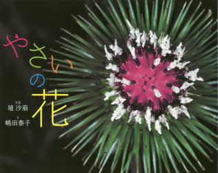 ふしぎいっぱい写真絵本　29 ポプラ社 蔬菜　花 39P　21×26cm ヤサイ　ノ　ハナ　フシギ　イツパイ　シヤシン　エホン　29 ハニ，シヤボウ　シマダ，ヤスコ