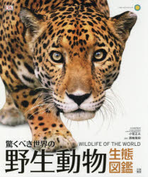 日東書院本社 動物／図鑑　動物生態学 400P　31cm オドロクベキ　セカイ　ノ　ヤセイ　ドウブツ　セイタイ　ズカン コスゲ，マサオ　クロワ，アツシ