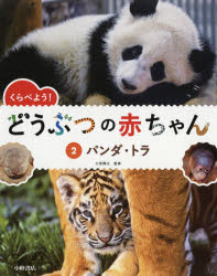 小峰書店 動物 31P　29cm クラベヨウ　ドウブツ　ノ　アカチヤン　2　2　パンダ　トラ コミヤ，テルユキ