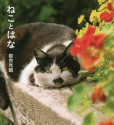 IWAGO’S　BOOK　4 クレヴィス 猫／写真集 79P　20cm ネコ　ト　ハナ　イワゴウズ　ブツク　4　IWAGO′S　BOOK　4 イワゴウ，ミツアキ