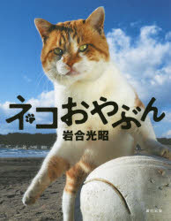 辰巳出版 猫／写真集 127P　24cm ネコ　オヤブン イワゴウ，ミツアキ