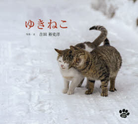北海道新聞社 猫／写真集 59P　17×19cm ユキネコ ヨシダ，ユリヒロ