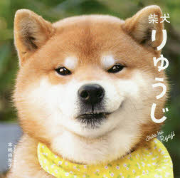 パイインターナショナル 犬／写真集 102P　15×15cm シバイヌ　リユウジ モトシマ，ユキコ
