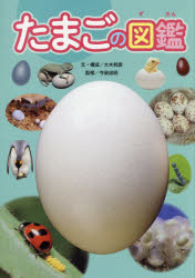 あかね書房 卵 95P　31cm タマゴ　ノ　ズカン オオキ，クニヒコ　イマイズミ，タダアキ