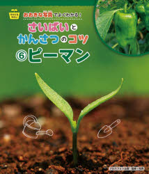 そだてるやさい　おおきな写真でよくわかる 岩崎書店 蔬菜栽培　ピーマン／栽培 32P　29cm オオキナ　シヤシン　デ　ヨク　ワカル　サイバイ　ト　カンサツ　ノ　コツ　6　6　ソダテル　ヤサイ　ピ−マン アルスフオト／キカク